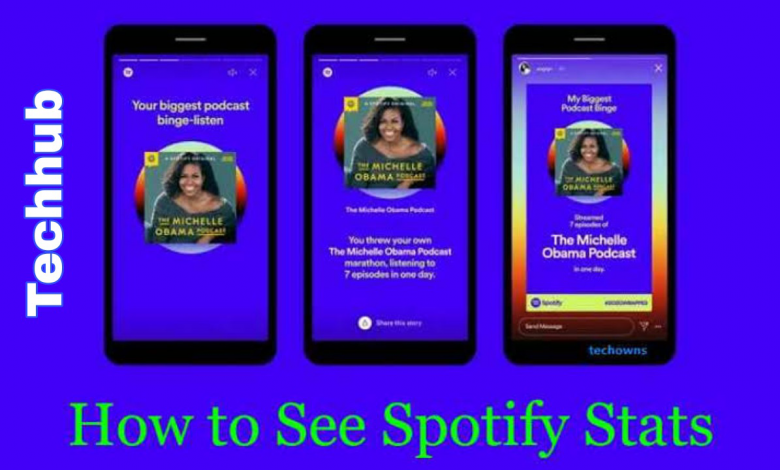 Spotify Stats 2022: How to See Your Personal Statistics - Techfixhub